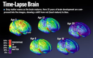 Getting in sync with the teenage brain – Vig Gleeson | Photography